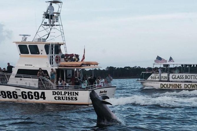Alabama Gulf Coast Dolphin Cruise - Alabama Gulf Coast Dolphin Cruise: A Charming Water Adventure in Orange Beach
