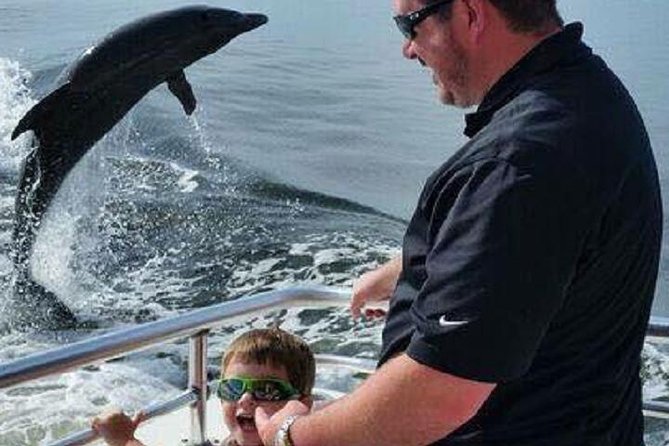 Alabama Gulf Coast Dolphin Cruise - Wrapping It Up: Who Should Book This Tour?
