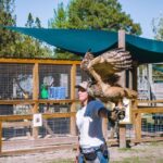 Alabama: Gulf Shores/Orange Beach Area Multi-Attraction Pass - A Detailed Look at the Alabama Gulf Shores/Orange Beach Attraction Pass