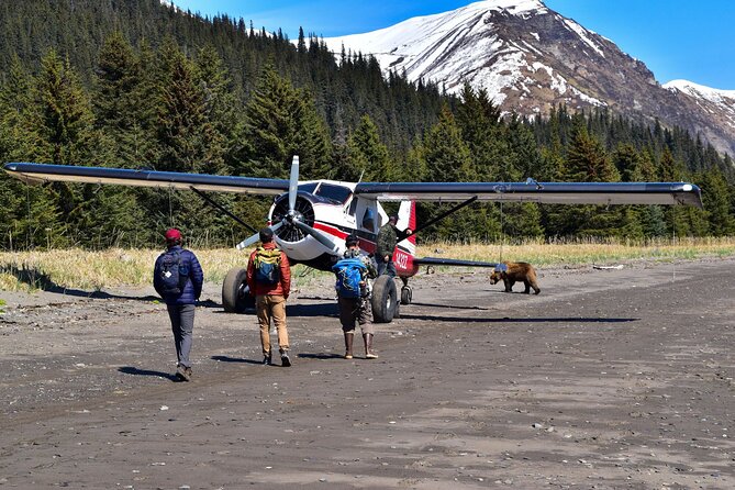 Alaska Bear Viewing Adventure from Seward - Final Thoughts: Is This Tour Worth It?