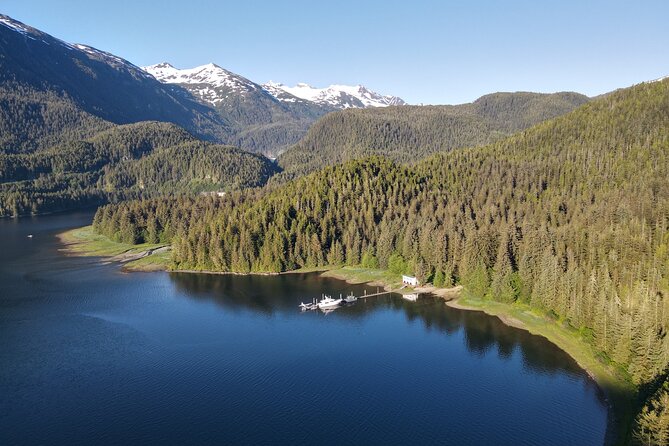 Alaska Bears and Silver Bay Homestead - Who Will Love This Tour?