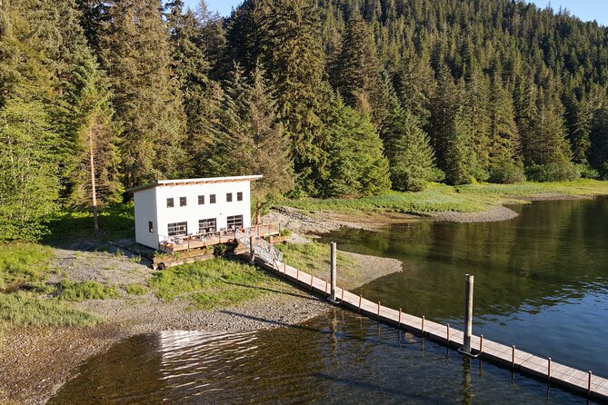 Alaska Bears and Silver Bay Homestead - FAQs