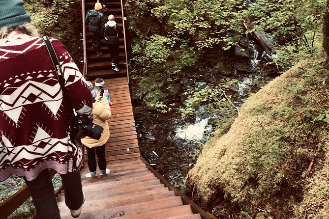 Alaska Bigfoot Adventures - Exploring Alaska Bigfoot Adventures: A Genuine Look at a Unique Tour in Ketchikan