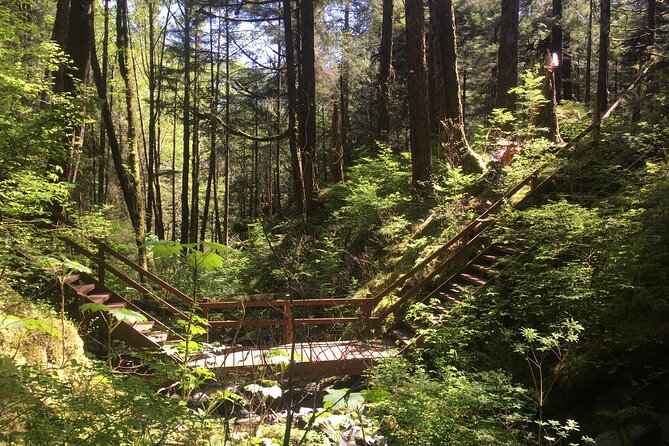 Alaska Bigfoot Adventures - What to Expect from Alaska Bigfoot Adventures
