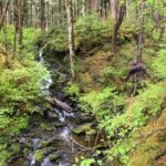 Alaska Bigfoot Adventures - The Guides and Their Impact