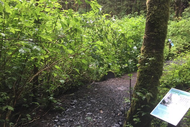Alaska Bigfoot Adventures - Final Thoughts