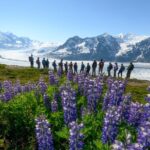 Alaska Heli Hiking - ANCHORAGE AREA - The Practicalities