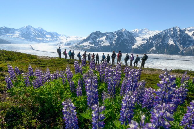 Alaska Heli Hiking - ANCHORAGE AREA - The Practicalities