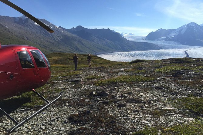 Alaska Heli Hiking - ANCHORAGE AREA - The Sum Up