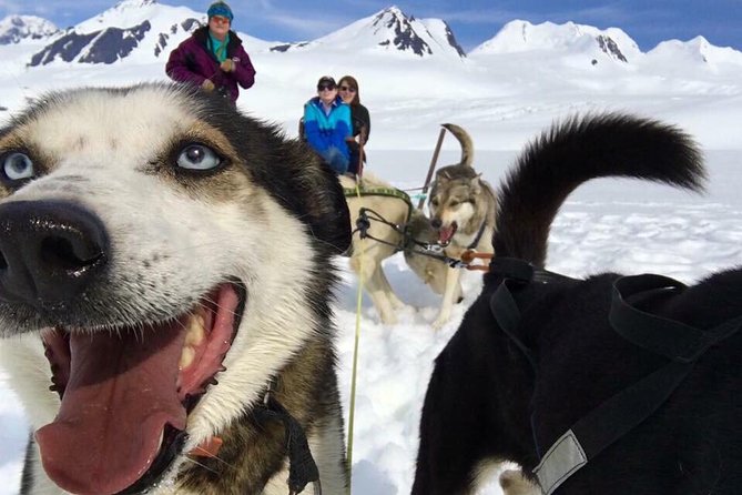 Alaska Helicopter and Glacier Dogsled Tour - ANCHORAGE AREA - Alaska Helicopter and Glacier Dogsled Tour – ANCHORAGE AREA: An In-Depth Look
