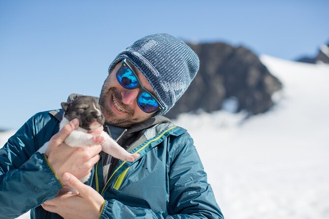 Alaska Helicopter and Glacier Dogsled Tour - ANCHORAGE AREA - Analyzing the Experience: What You Can Expect
