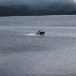 Alaska Native Cultural and Wildlife Adventure - An In-Depth Look at the Alaska Native Cultural and Wildlife Adventure