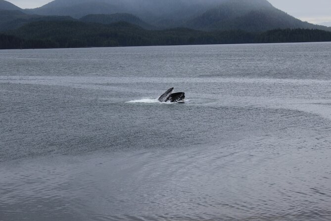 Alaska Native Cultural and Wildlife Adventure - An In-Depth Look at the Alaska Native Cultural and Wildlife Adventure