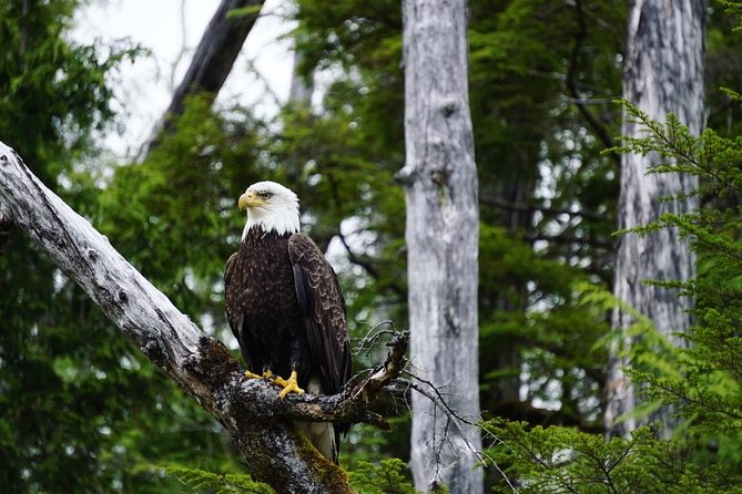 Alaska Ocean Wilderness Expedition - FAQ