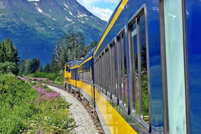 Alaska Railroad Anchorage to Seward One Way - The Sum Up