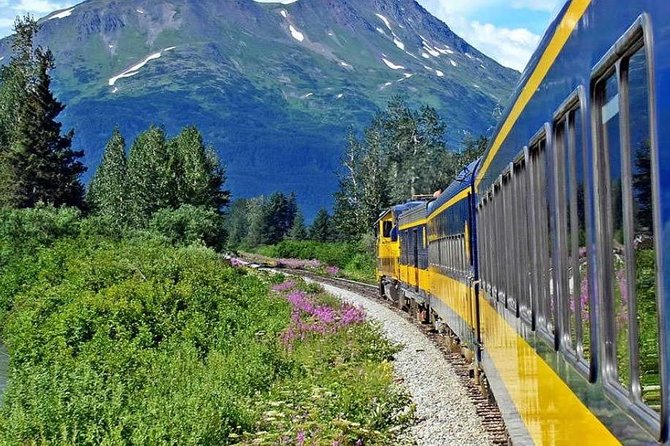 Alaska Railroad Anchorage to Seward Round-Trip Same Day Return - The Authentic Review Insights