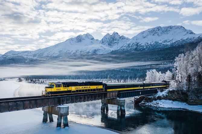 Alaska Railroad Aurora Winter Anchorage to Fairbanks One Way - Who Is This Tour Best Suited For?