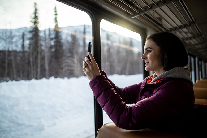 Alaska Railroad Aurora Winter Fairbanks to Anchorage One Way - Key Points