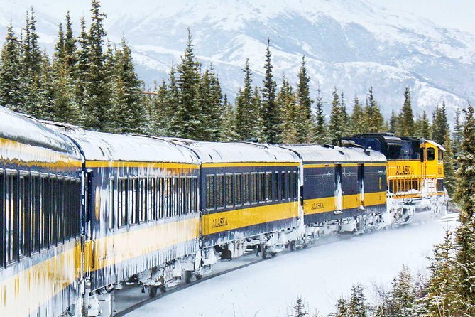 Alaska Railroad Aurora Winter Fairbanks to Anchorage One Way - Onboard Amenities and Practicalities