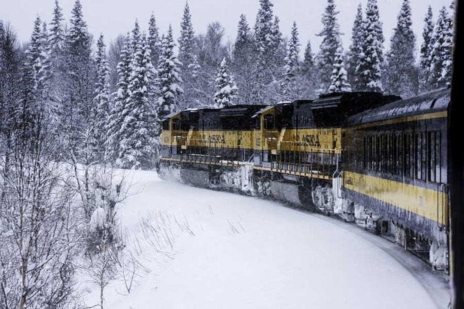 Alaska Railroad Aurora Winter Fairbanks to Anchorage One Way - Authentic Experiences from Reviewers
