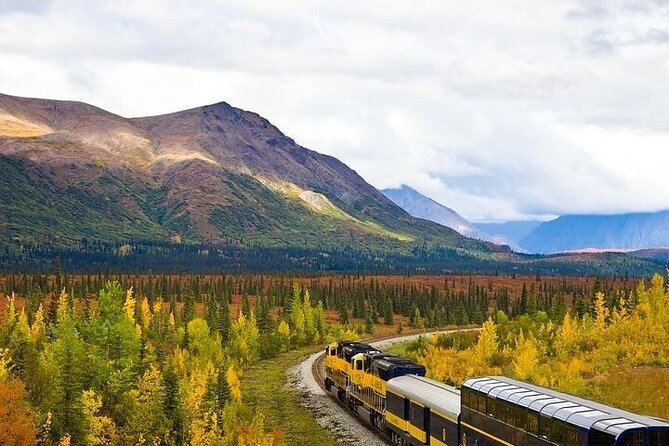 Alaska Railroad Denali to Fairbanks One Way - Practical Considerations