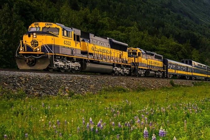 Alaska Railroad Fairbanks to Denali One Way - Considerations to Keep in Mind