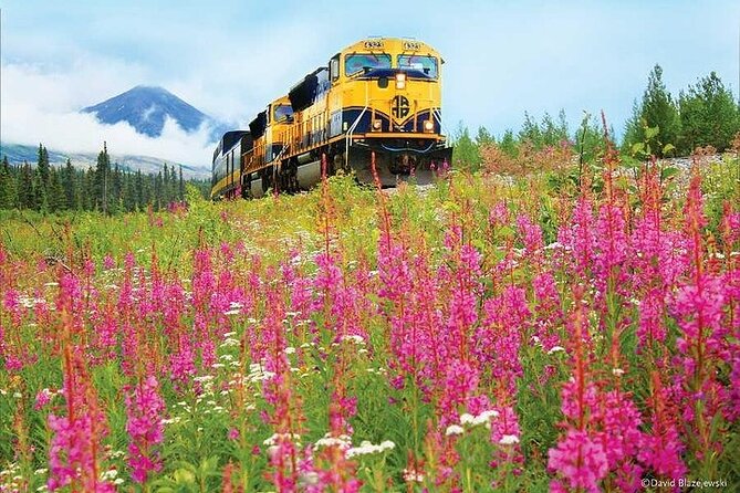 Alaska Railroad Fairbanks to Denali One Way - FAQ