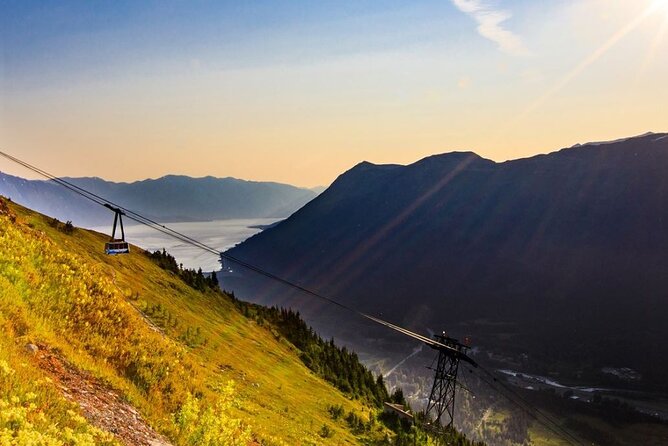Alaska Wildlife Center and Turnagain Arm Tour w/Alyeska Tram - Transport and Practicalities