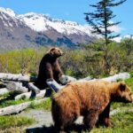 Alaska Wildlife Conservation Center: Admission Ticket - What to Expect from Your Visit