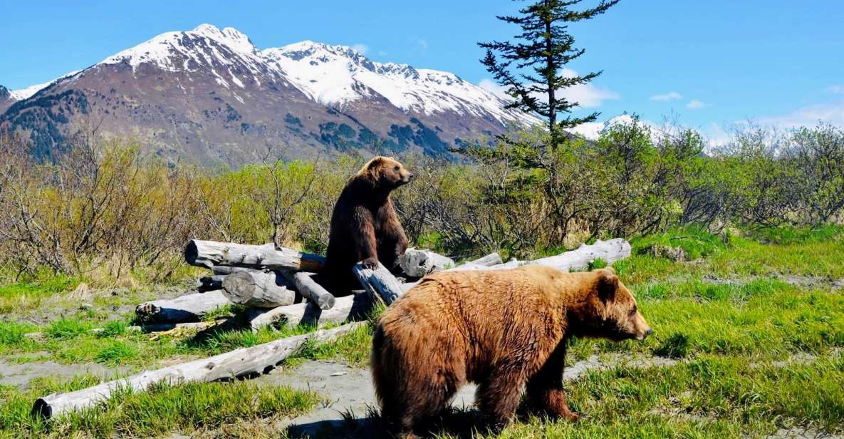 Alaska Wildlife Conservation Center: Admission Ticket - What to Expect from Your Visit