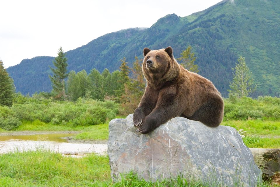 Alaska Wildlife Conservation Center: Admission Ticket - Who Would Love This Experience?