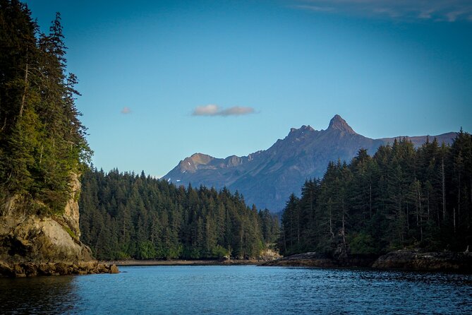 Alaska Wildlife Tour in Kachemak Bay - The Scenery: More Than Just Wildlife