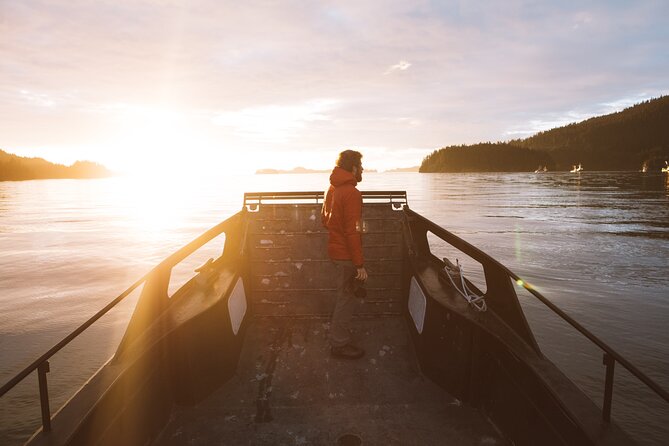 Alaska Wildlife Tour in Kachemak Bay - Review Highlights: Real Travelers’ Experiences