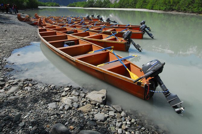 Alaska Wildlife Voyageur Canoe Safari from Haines - Who Should Consider This Tour?