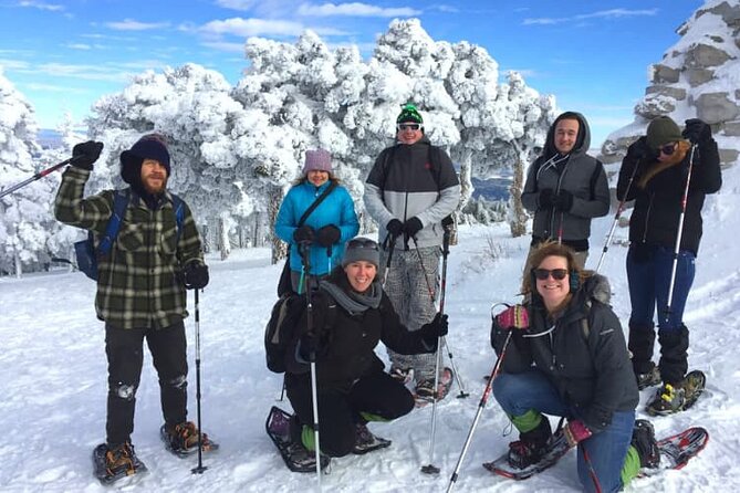 Albuquerque Snowshoe Experience - The Snowshoeing Itinerary: Exploring the Mountain Trails