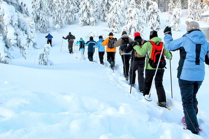 Albuquerque Snowshoe Experience - A Cozy Break: Hot Cocoa and Snacks in the Forest