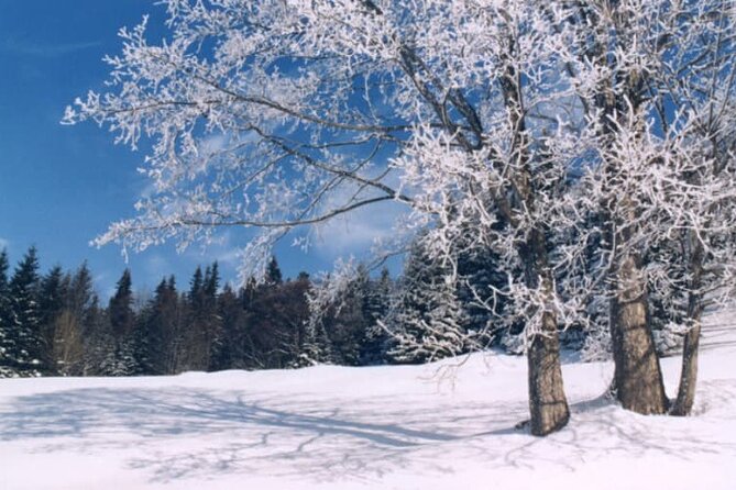 Albuquerque Snowshoe Experience - FAQ