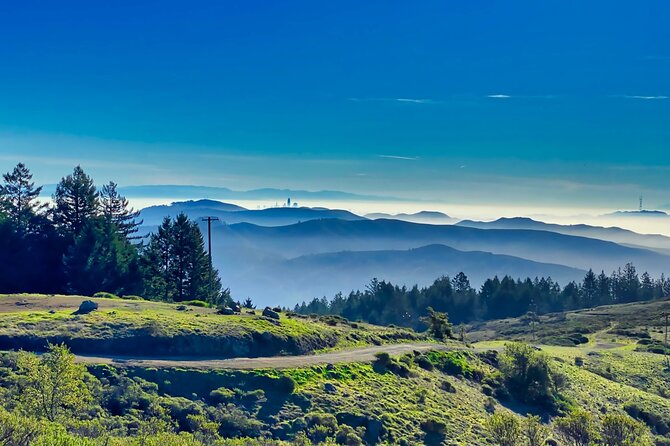Alcatraz Day Tour and Aquarium with Muir Woods and Sausalito Tour - Who This Tour Is Best For