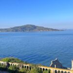 Alcatraz Night Tour & Muir Woods-Sausalito Afternoon or Morning - Transportation and Comfort