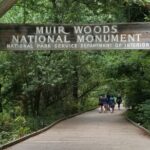 Alcatraz with Muir Woods and Sausalito Tour - Price & Value