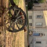 Alexandria: American Revolution Guided Walking Tour - Practical Details and Value