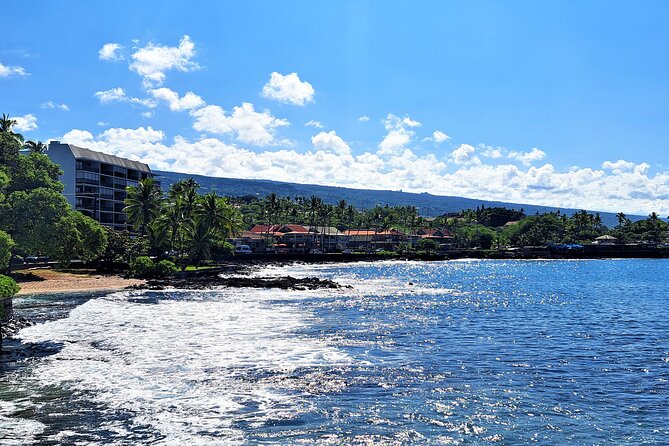 Ali'i Private Tour in Luxury Van - Who Will Love This Tour?