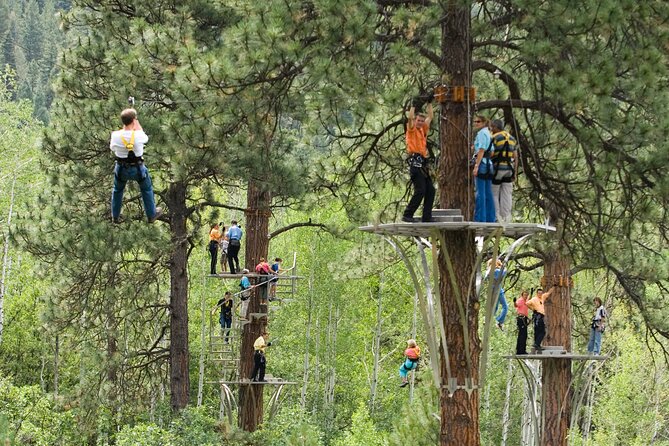 All-Day Guided Zipline Tour with Train Ride and Lunch in Durango - Final Thoughts: Who Will Love This Tour?