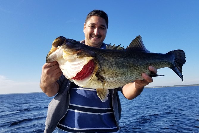All Day Lake Toho Fishing Trip near Kissimmee - The Sum Up