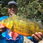 All Day Peacock Bass Fishing Trip near Key Largo - What Makes This Tour Stand Out?