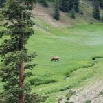 All Day Rocky Mountain National Park to Grand Lake Tour - Who Is This Tour Best For?