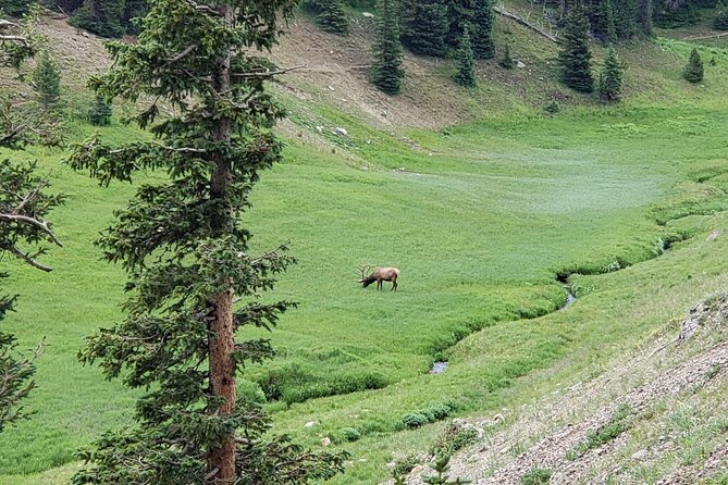 All Day Rocky Mountain National Park to Grand Lake Tour - Who Is This Tour Best For?