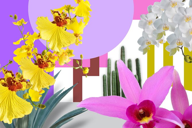 All-Garden Pass for the New York Botanical Garden - Key Points