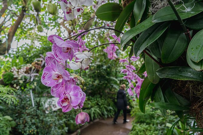 All-Garden Pass for the New York Botanical Garden - A Deep Dive into the Experience