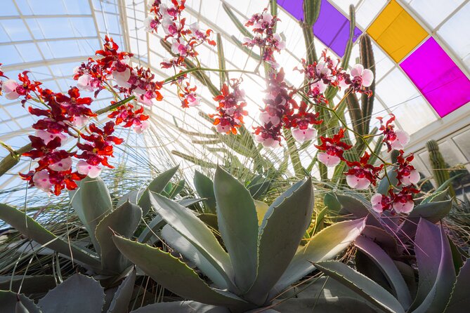All-Garden Pass for the New York Botanical Garden - Final Thoughts: Is It Worth It?